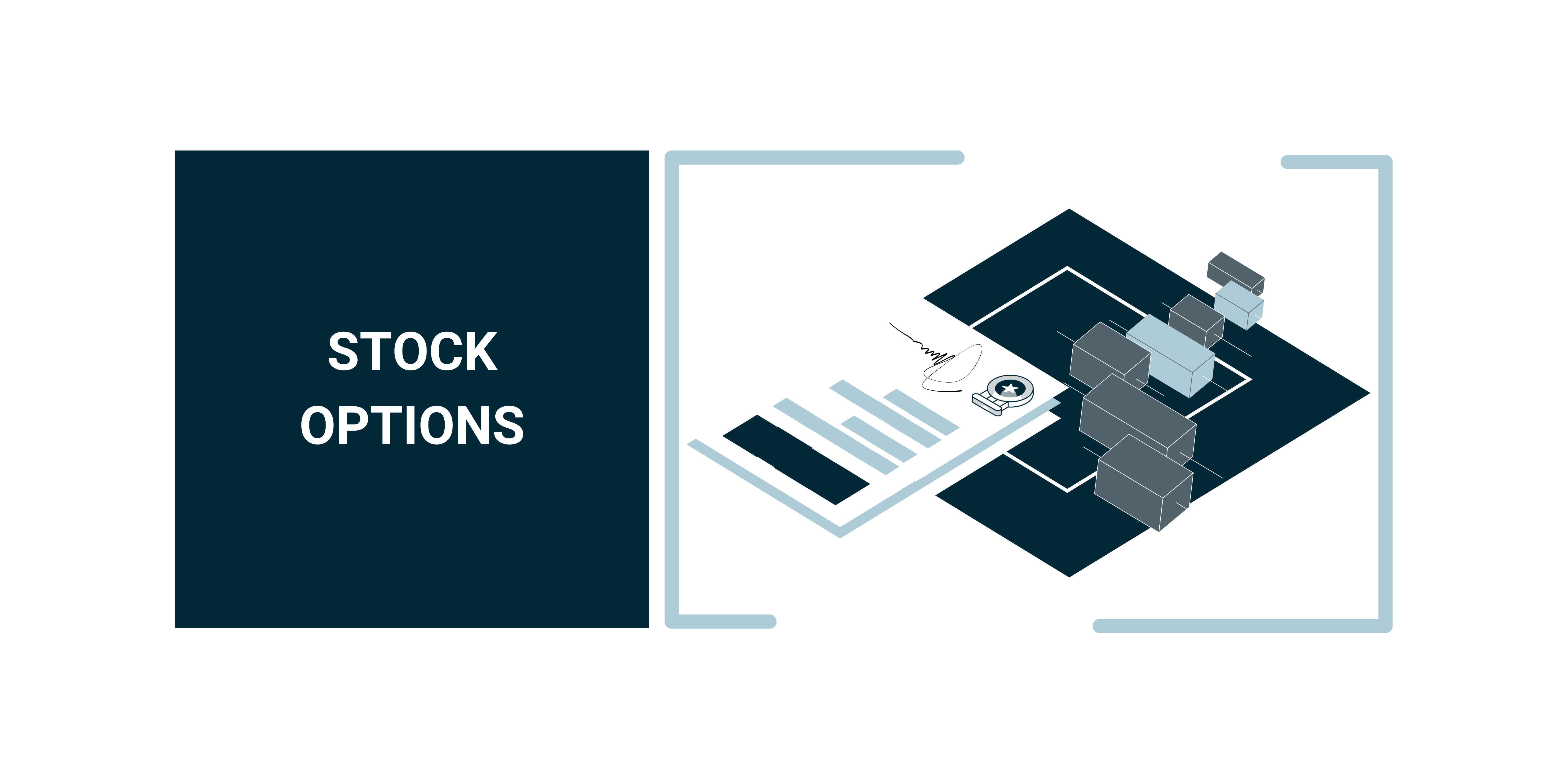 How to allocate stock options?